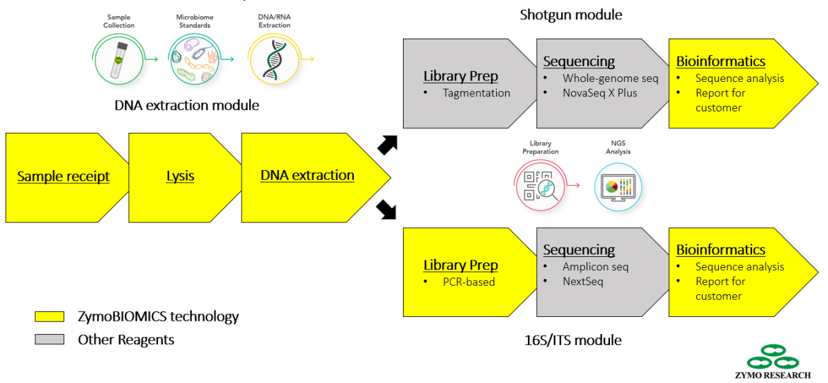 Amplicon vs shotgun sequencing